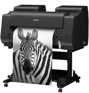 2025 Buyer’s Guide: Best Printers for Canvas Prints (Epson, Canon & HP ...